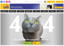 Jono reviews: Cats Protection • Yoast