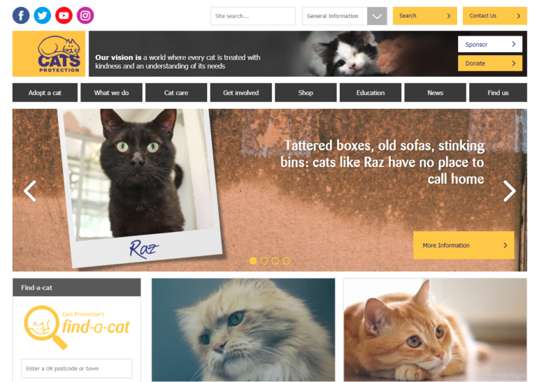 Jono reviews: Cats Protection • Yoast