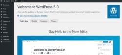 How to test WordPress 5.0 -- and every other new release • Yoast