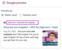 How to use the Google / snippet preview in Yoast SEO • Yoast