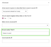 The breadcrumbs title setting • Yoast