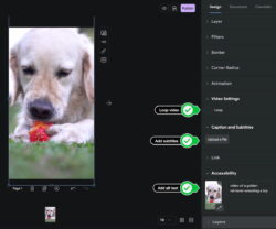 How to build Google Web Stories in WordPress • Yoast