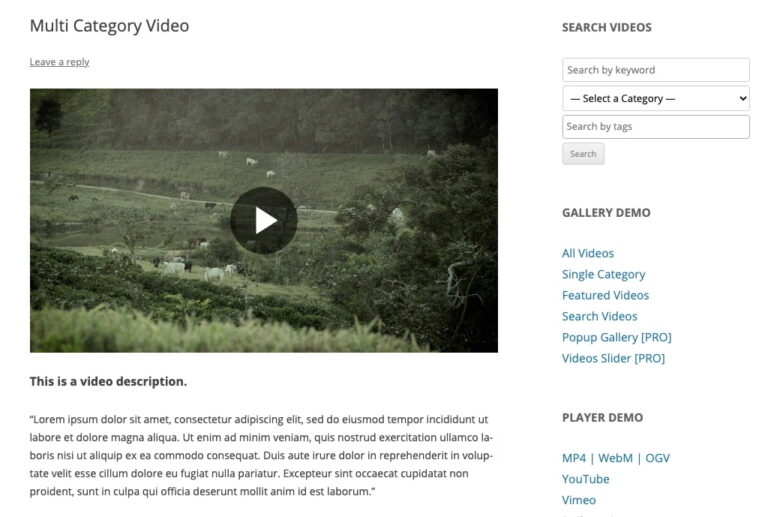 How to optimize your WordPress video gallery for SEO • Yoast