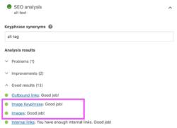 Image SEO: How to optimize your alt text and title text • Yoast
