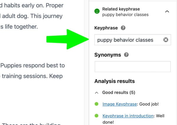Why you should use synonyms and related keywords • Yoast
